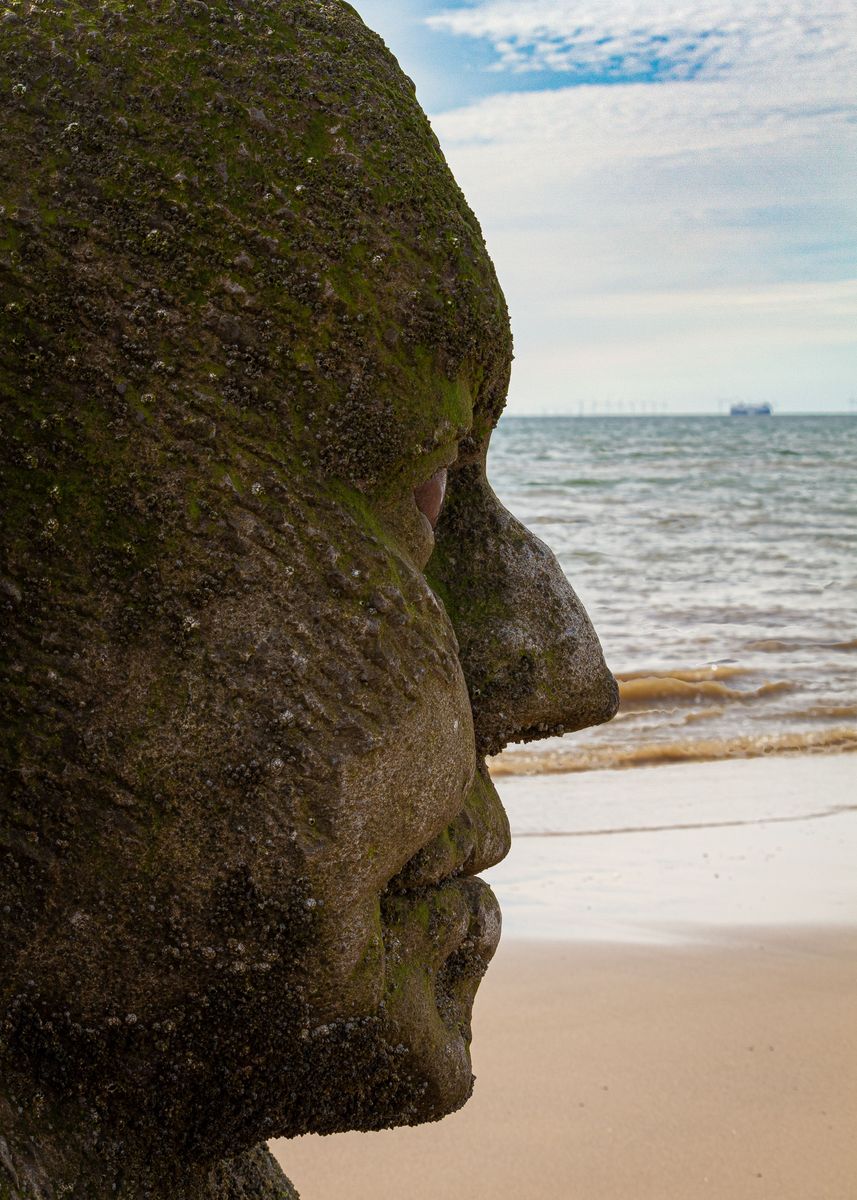 'Ogre' Poster, picture, metal print, paint by John Gaisey | Displate