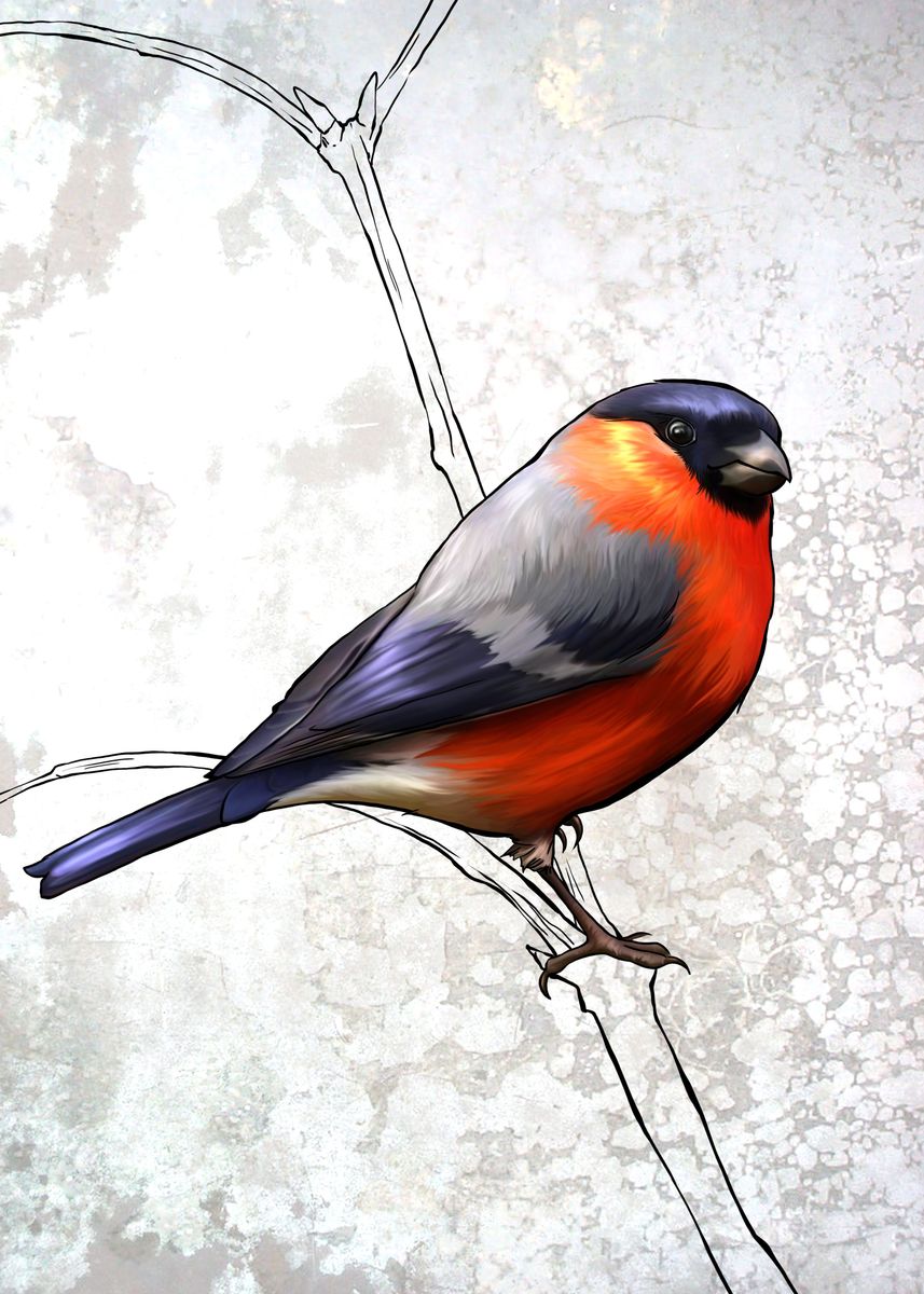 'Bullfinch a childrens tale' Poster, picture, metal print, paint by ...