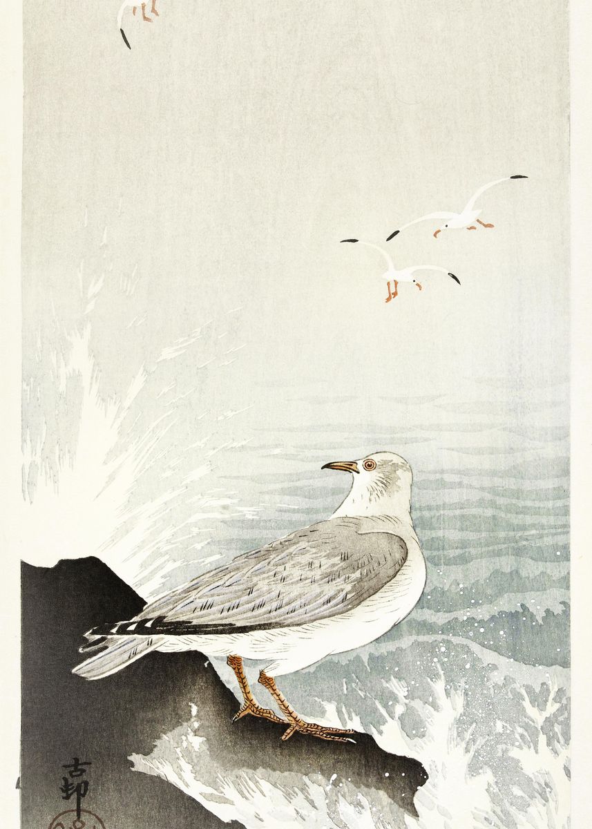 'Gull On Rock 1900 1910 By' Poster, picture, metal print, paint by This ...