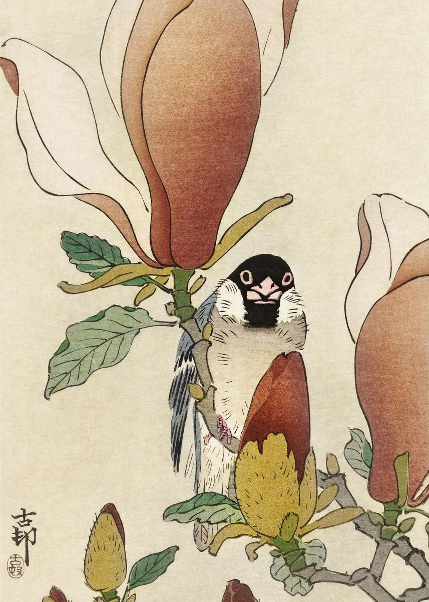 'Sparrow On Blooming Magnol' Poster, picture, metal print, paint by ...