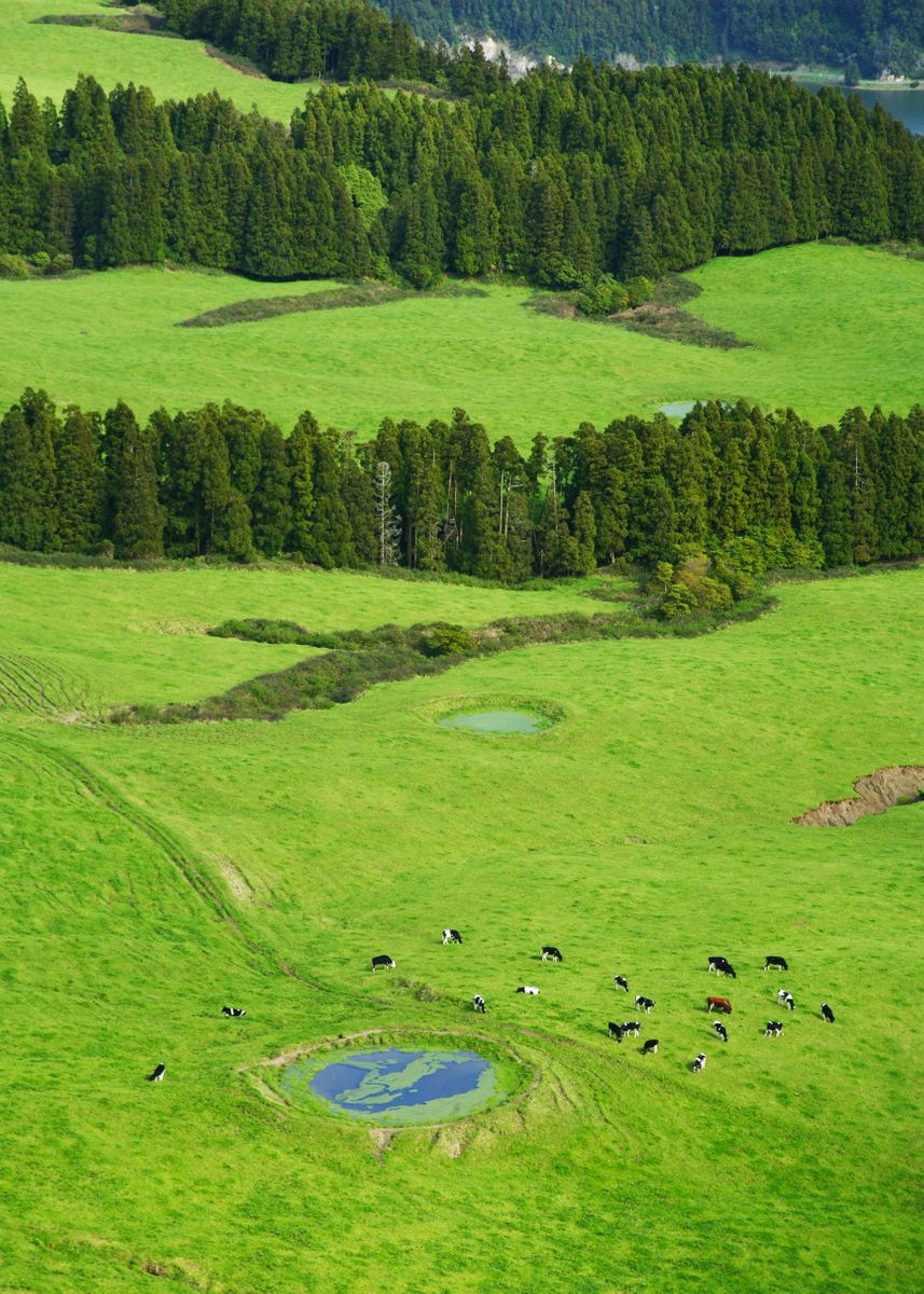 'Green pastures' Poster, picture, metal print, paint by Gaspar Avila ...