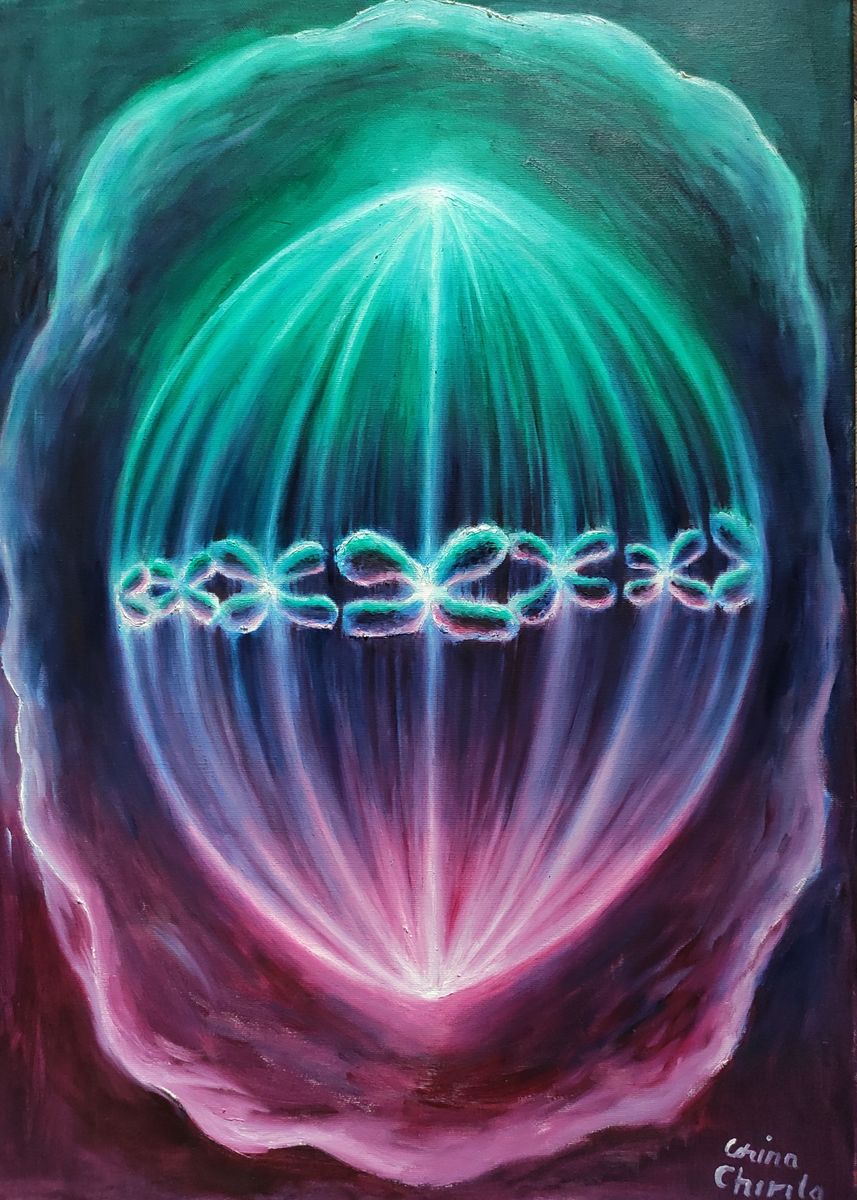 'Cellular divizion' Poster, picture, metal print, paint by ...