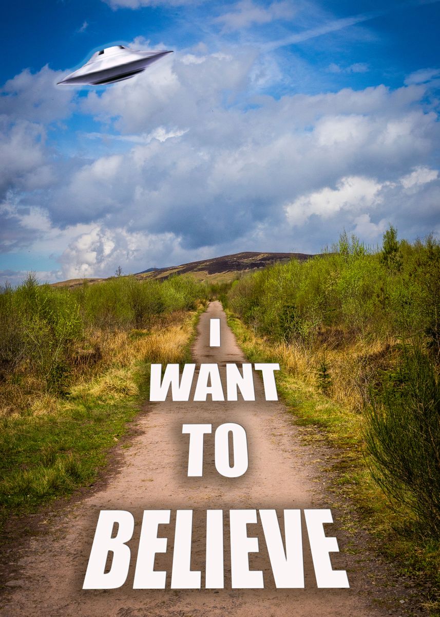 'I Want To Believe' Poster by Stoobie | Displate