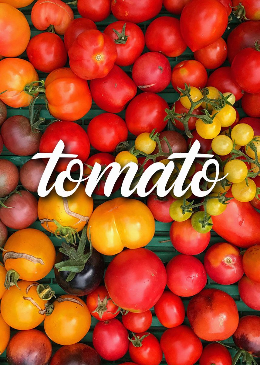 'TOMATO' Poster by Morgan Majkus | Displate