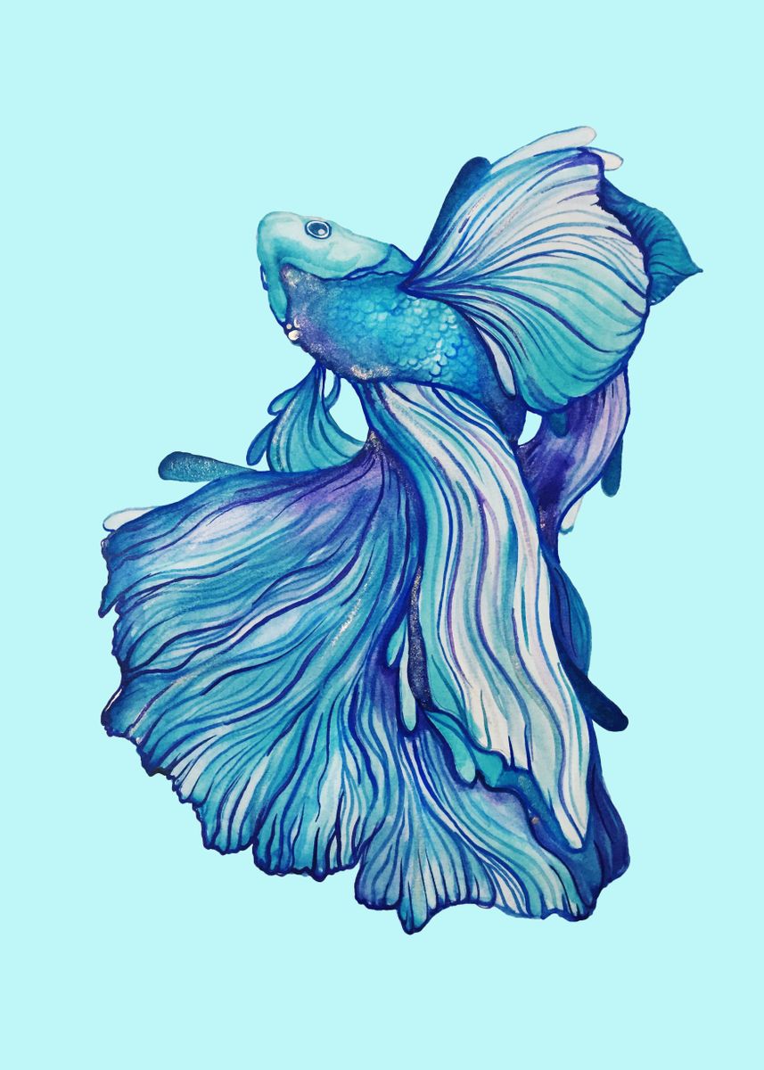 'Watercolour Fighting Fish' Poster, picture, metal print, paint by Lily ...