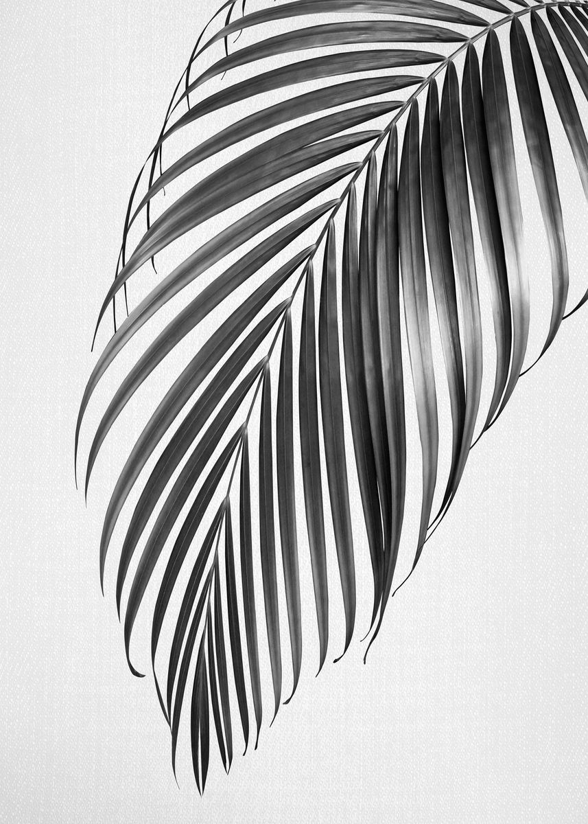 'Palm Leaf BW' Poster by Gal Design | Displate