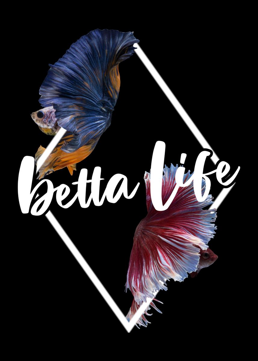'Betta Fish Diamond' Poster, picture, metal print, paint by Jon ...