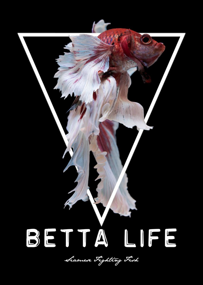 'Betta Fish Geometric' Poster, picture, metal print, paint by Jon ...
