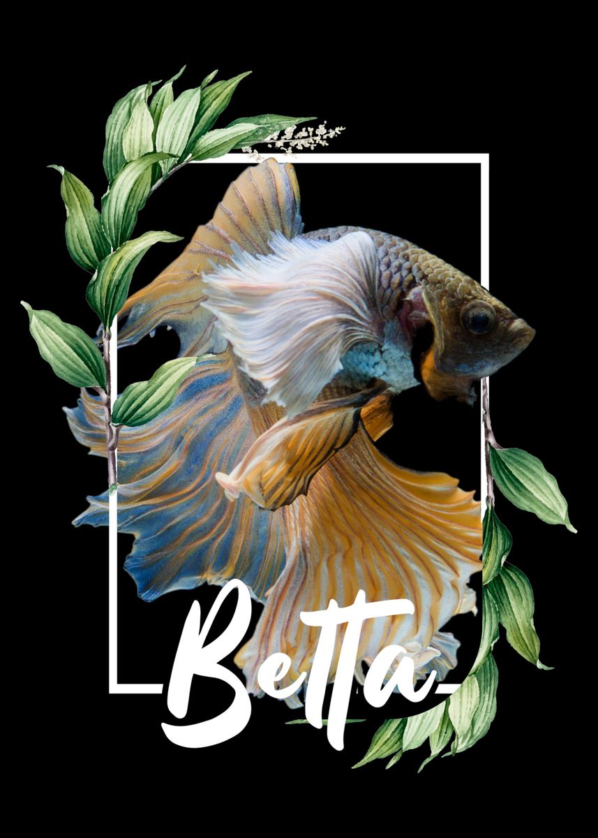 'Betta Fish Geometric' Poster, picture, metal print, paint by Jon ...