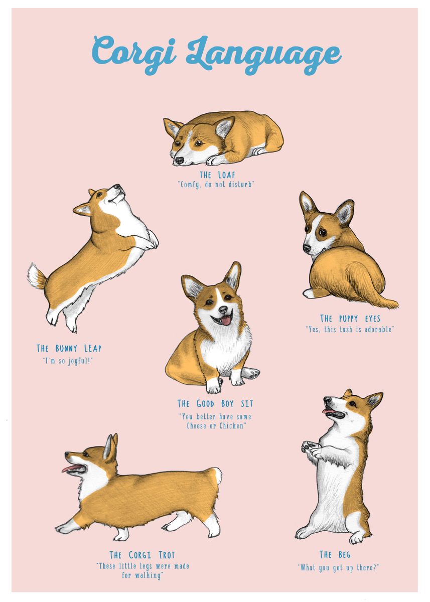 'Corgi Language Print' Poster, picture, metal print, paint by Beth ...