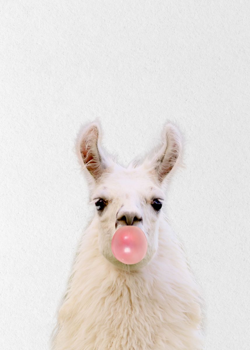 'cute llama with bubblegum ' Poster, picture, metal print, paint by ...