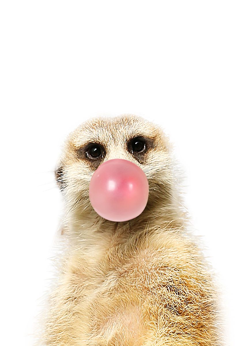 ' Stoating eating gum ' Poster by uwears | Displate