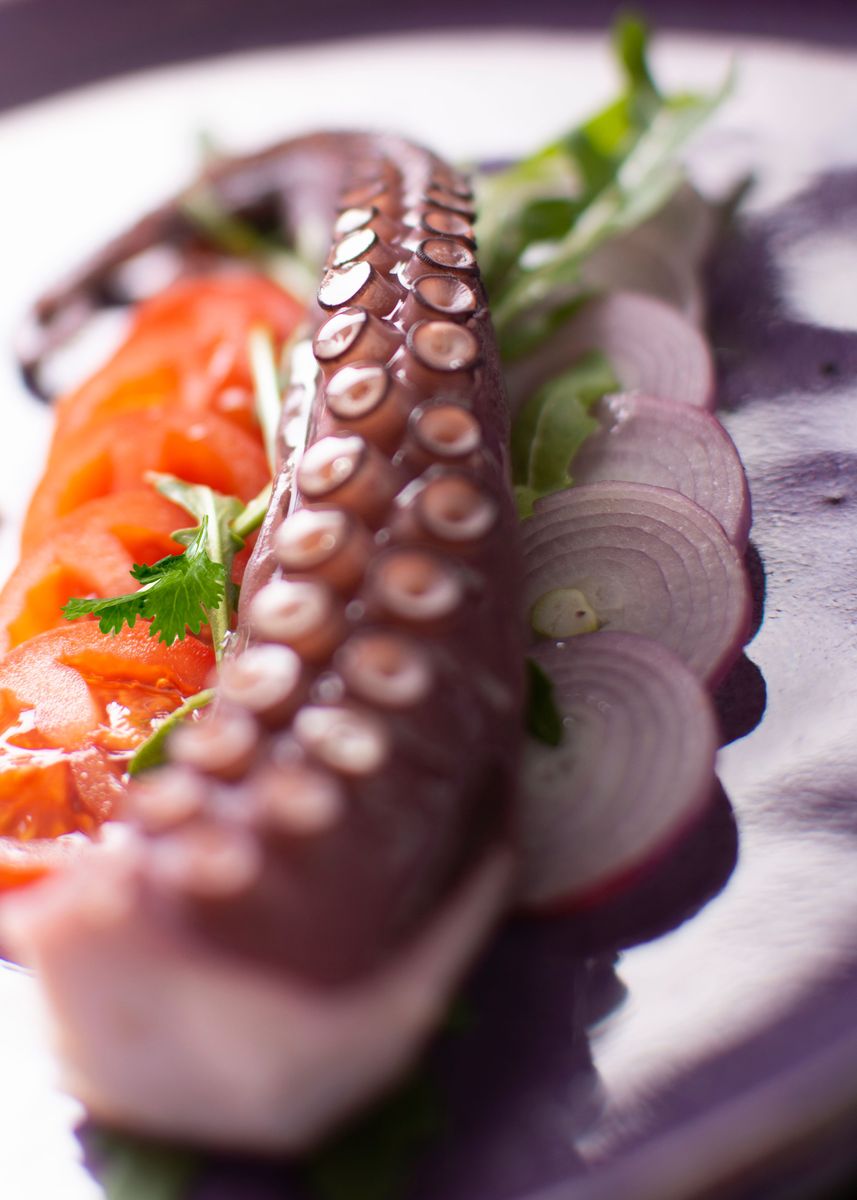 'octopus appetizer' Poster by Alex Neumayer | Displate