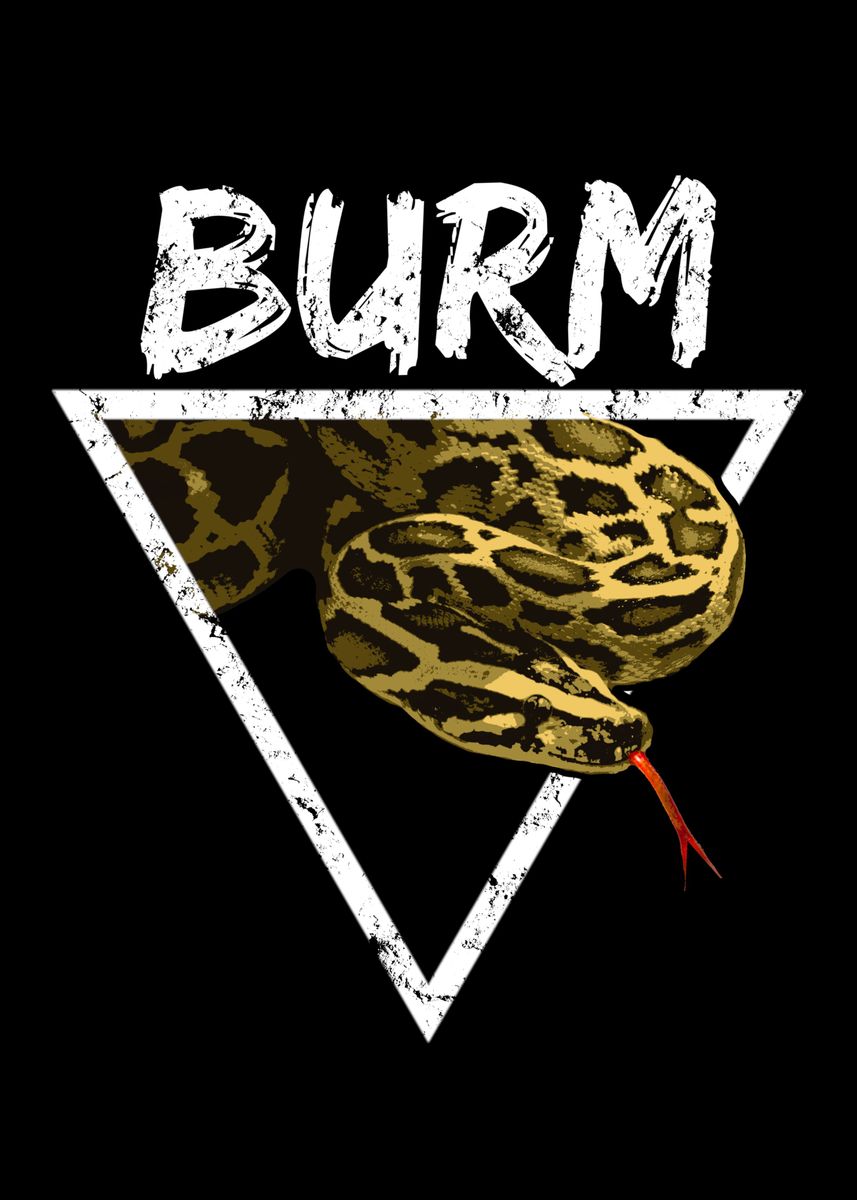 'Burmese Python Geometric' Poster, picture, metal print, paint by Jon ...