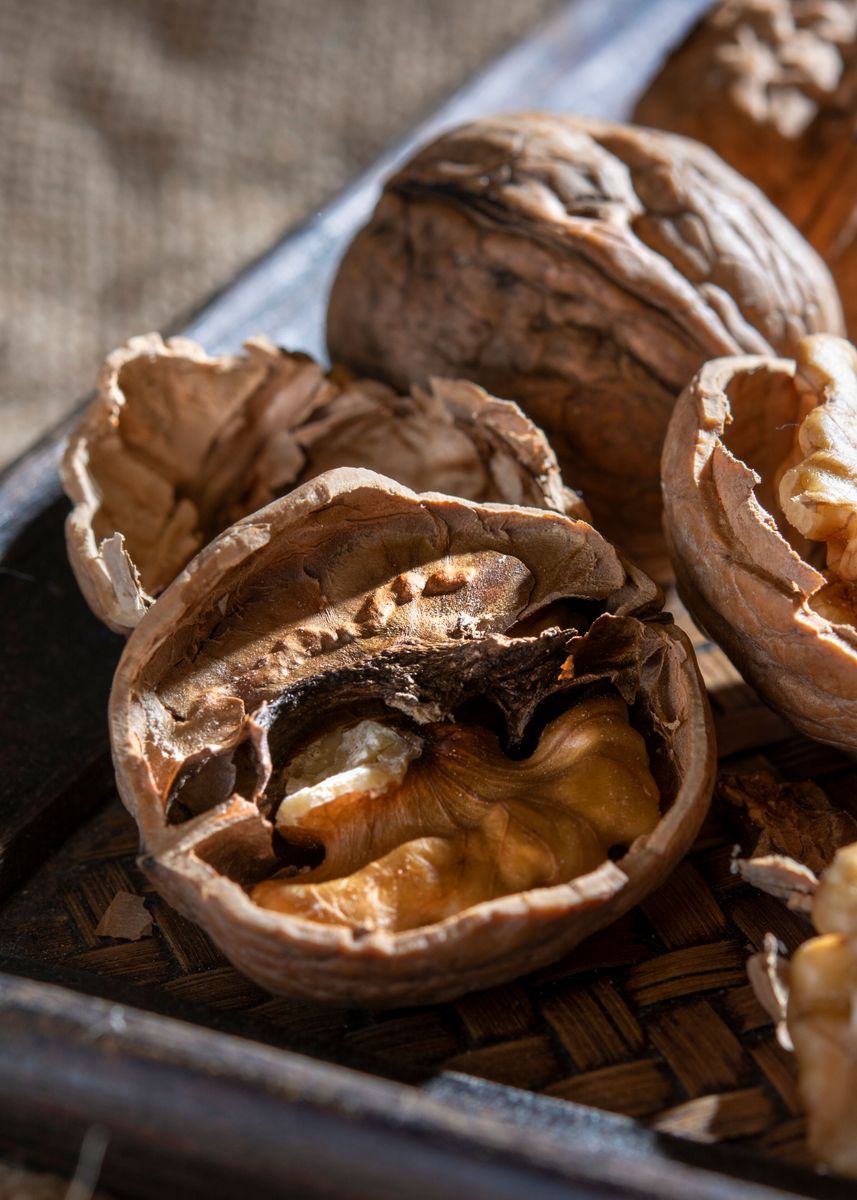 'walnut halves' Poster by Alex Neumayer | Displate