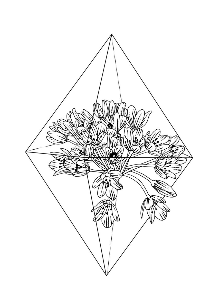 'Flowers in Rhombus' Poster, picture, metal print, paint by Michele ...