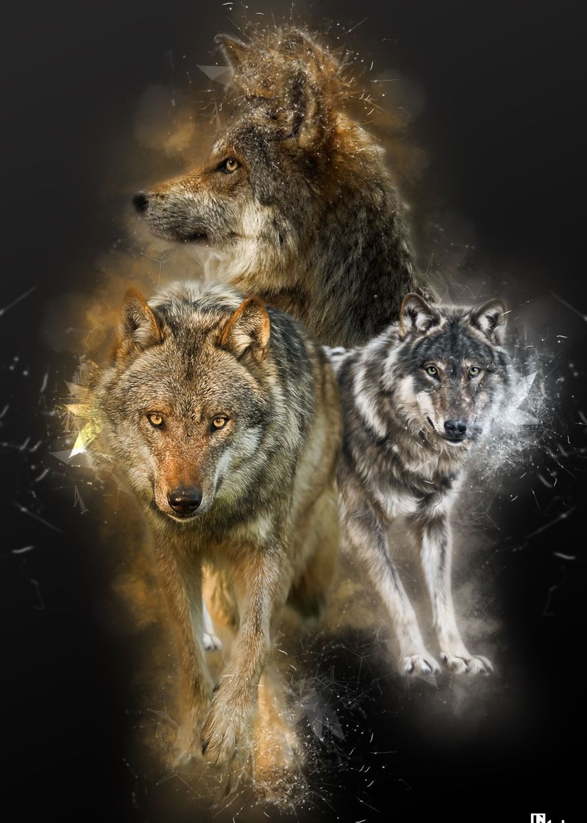 'WOLVES' Poster, picture, metal print, paint by Javier Fernández | Displate
