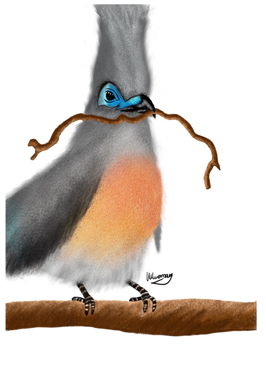 'The Madagascar bird' Poster, picture, metal print, paint by ...