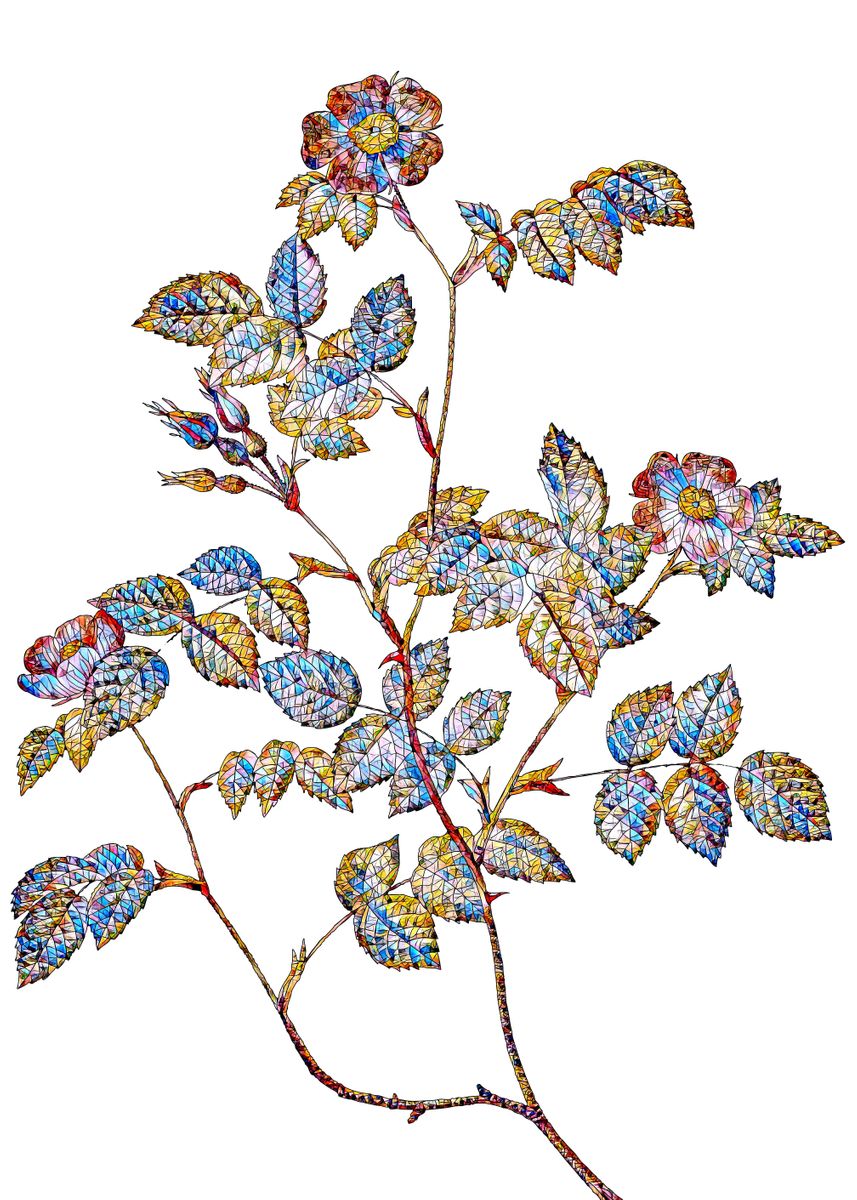 'Stained Glass Rose Flower' Poster, picture, metal print, paint by Holy ...
