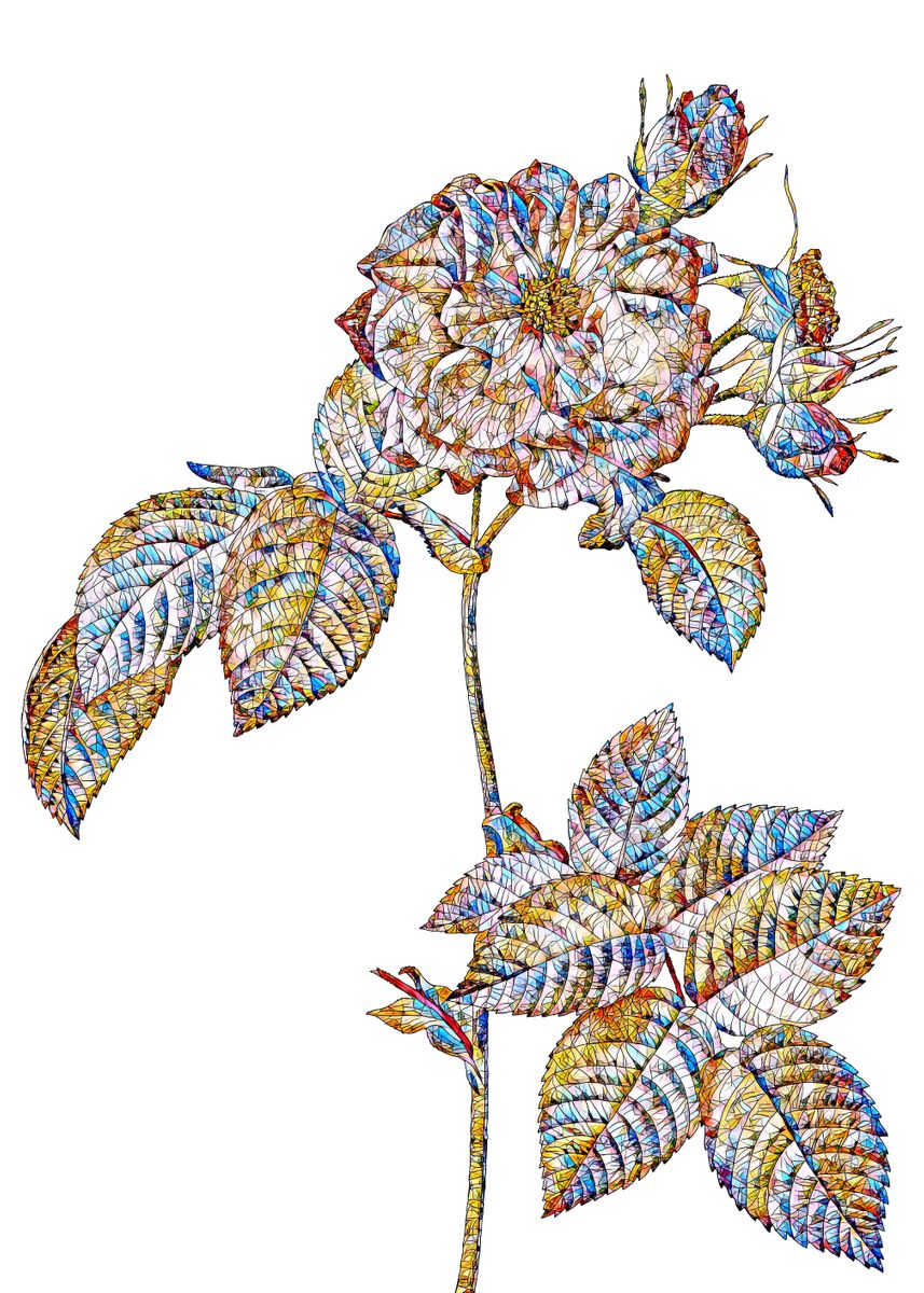 'Stained Glass Rose Flower' Poster, picture, metal print, paint by Holy ...