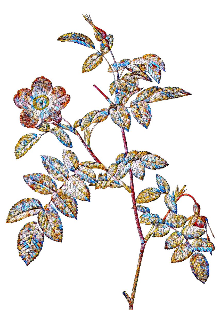 'Stained Glass Rose Flower' Poster, picture, metal print, paint by Holy ...