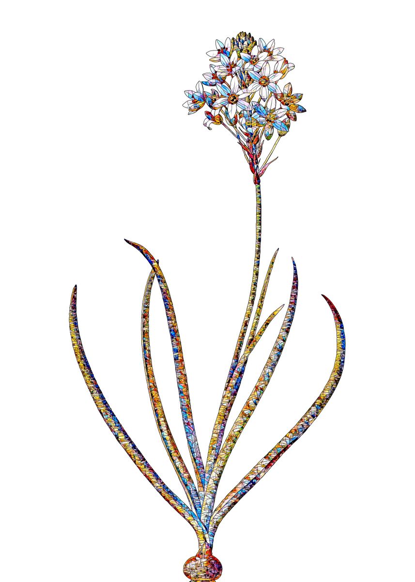 'Stained Glass Botanical' Poster by Holy Rock Design | Displate