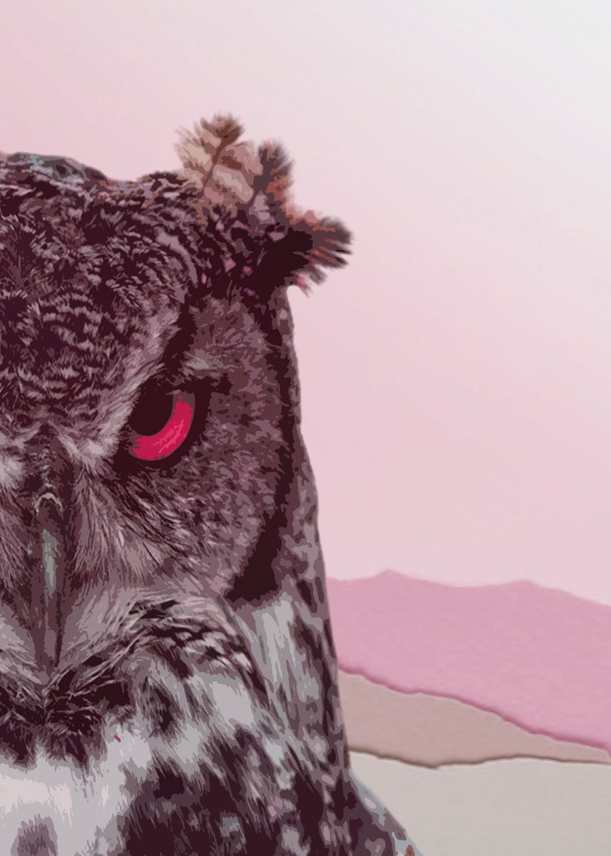 'Pink Owl' Poster by Taffy | Displate