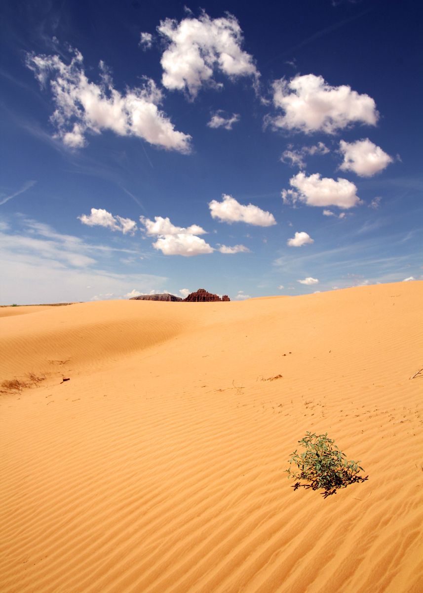 'Utah Sand and Sky II' Poster, picture, metal print, paint by ...