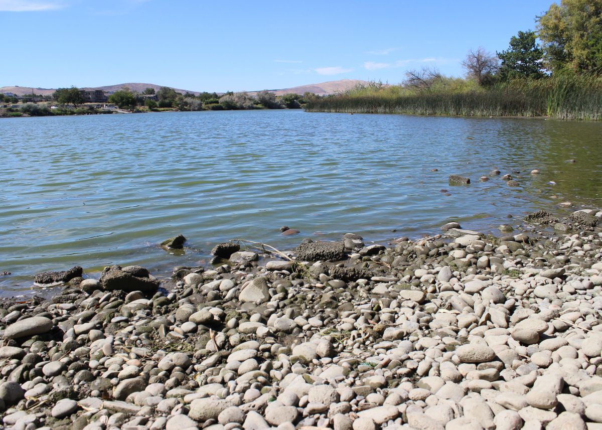 'snake river' Poster by David Loucks | Displate
