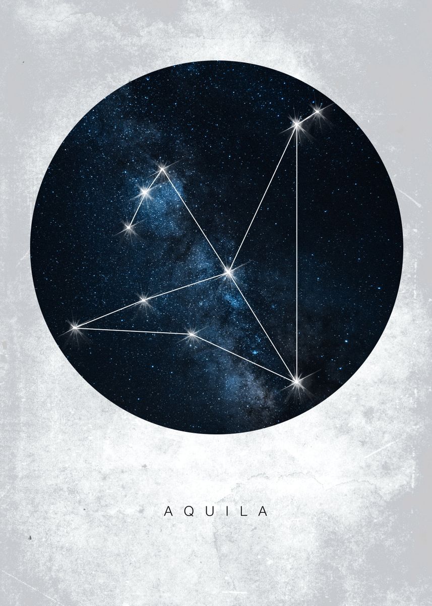 'Aquila' Poster by Xavier Vieira | Displate
