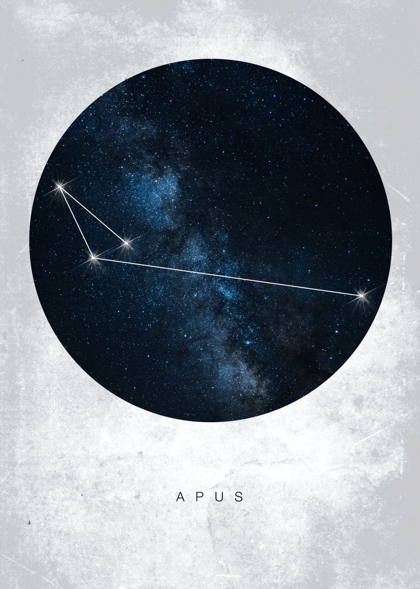 'Apus' Poster, picture, metal print, paint by Xavier Vieira | Displate