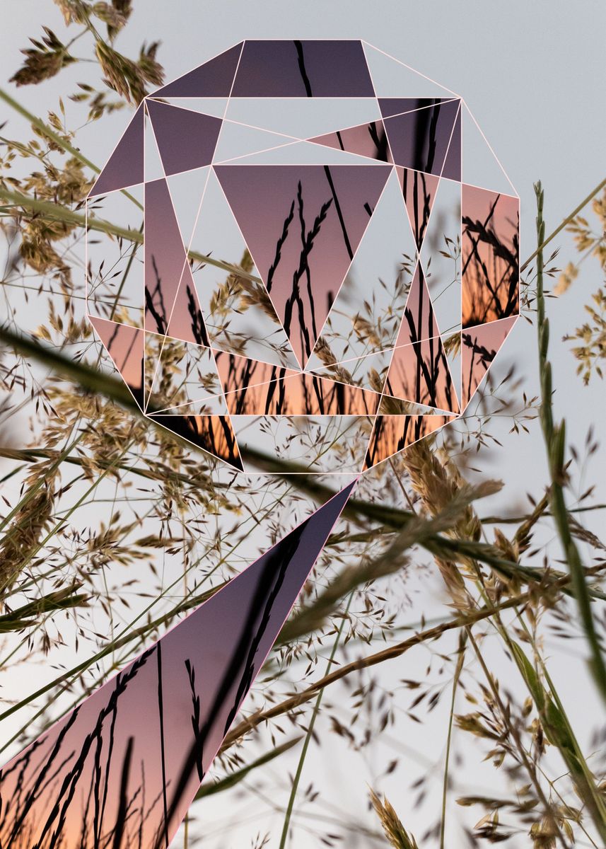 'floral secret geometry' Poster by Peter Levov | Displate