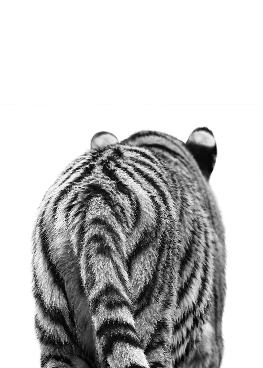 'Tiger tail' Poster by Splano | Displate