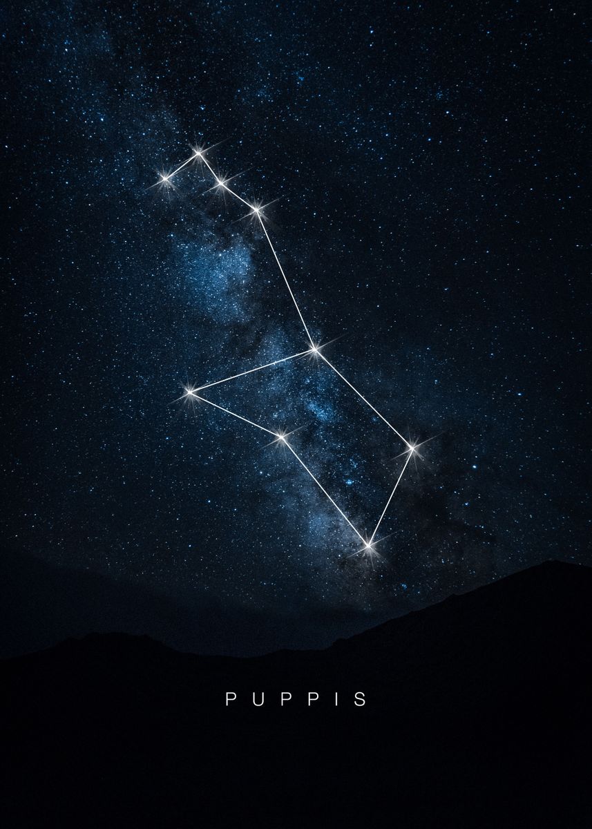 'Puppis' Poster, picture, metal print, paint by Xavier Vieira | Displate