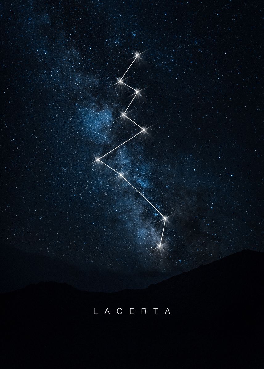 'Lacerta' Poster, picture, metal print, paint by Xavier Vieira | Displate