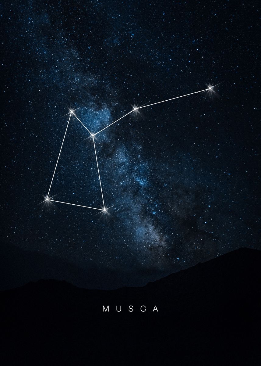 'Musca' Poster, picture, metal print, paint by Xavier Vieira | Displate