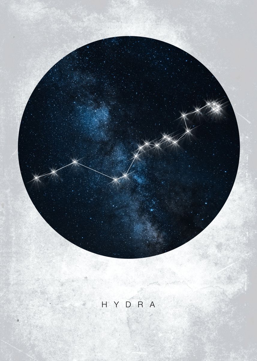 'Hydra' Poster, picture, metal print, paint by Xavier Vieira | Displate