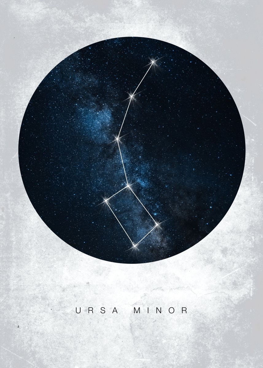 'Ursa Minor' Poster, picture, metal print, paint by Xavier Vieira ...