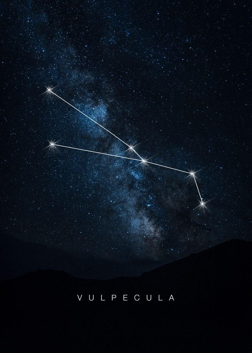 'Vulpecula' Poster, picture, metal print, paint by Xavier Vieira | Displate