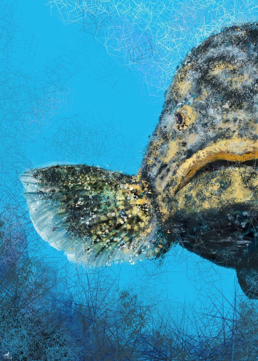'grouper fish' Poster, picture, metal print, paint by Eliseo Coyoca ...