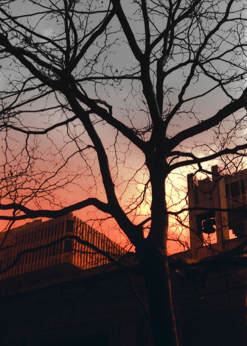 'The sky at Temple Station' Poster by Orett | Displate