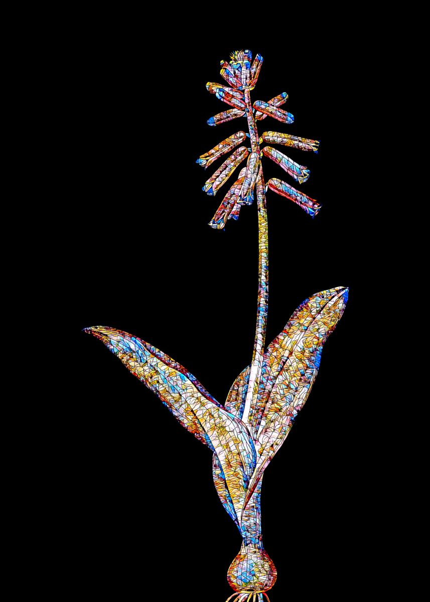 'Stained Glass Botanical' Poster by Holy Rock Design | Displate