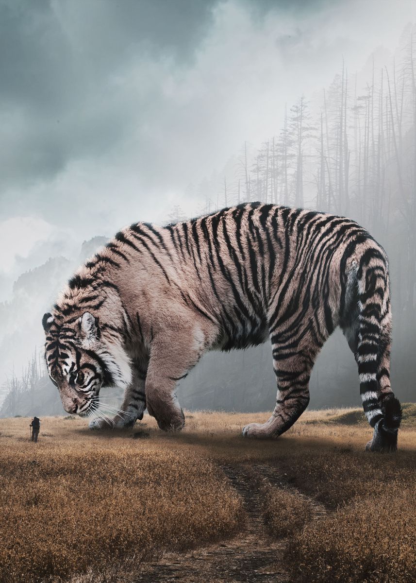 'Giant Tiger' Poster, picture, metal print, paint by nogar007 | Displate