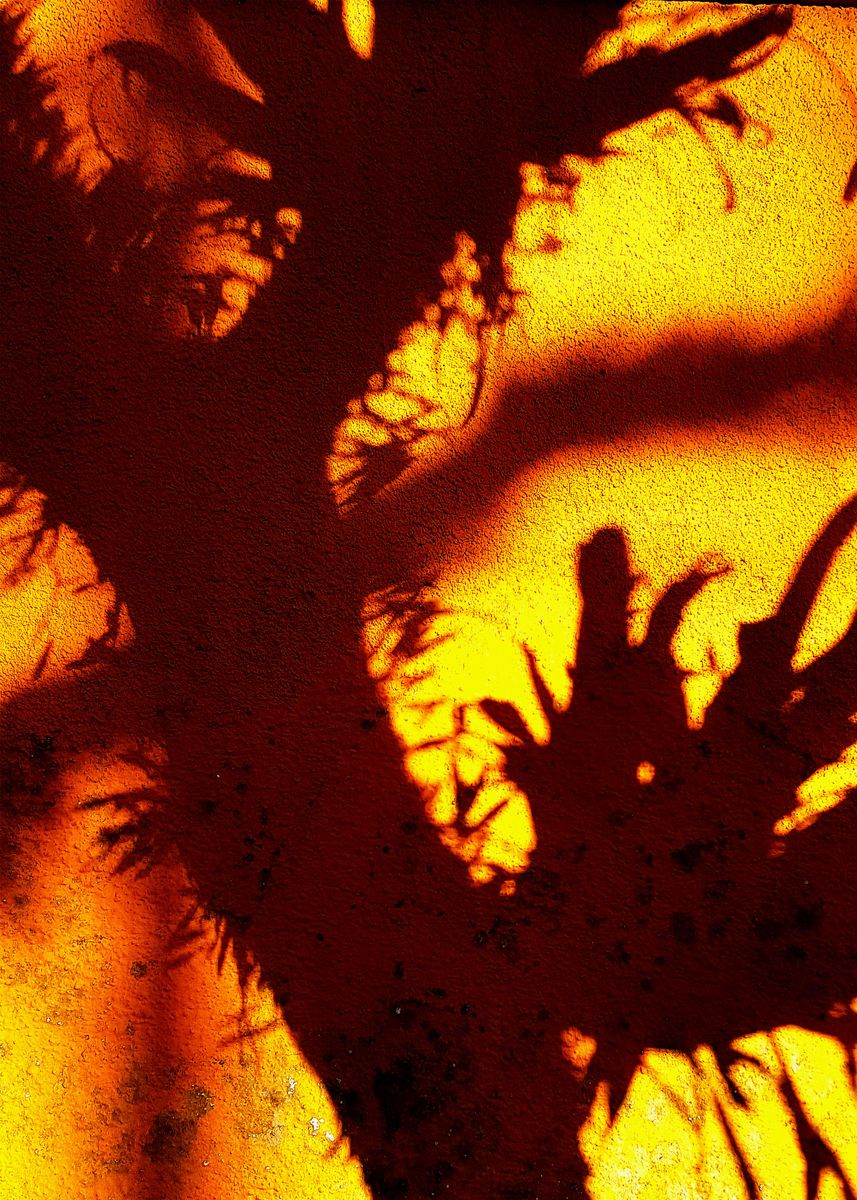 'SHADOW' Poster by Daniel Pastor | Displate