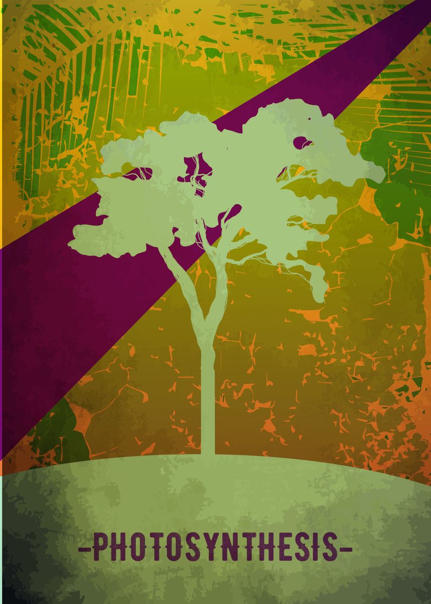 'Photosynthesis ' Poster, picture, metal print, paint by Meeple Design ...