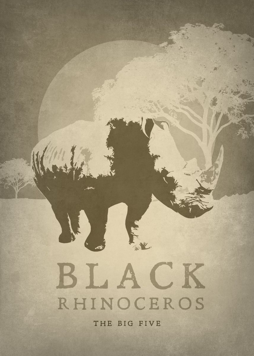'Black Rhinoceros' Poster by BB Design | Displate