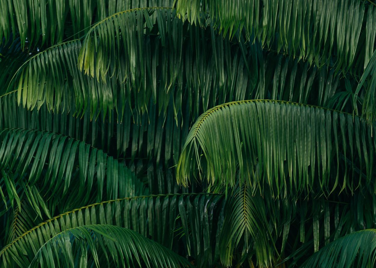 'Green Leaves painting ' Poster by Timothy Audam | Displate