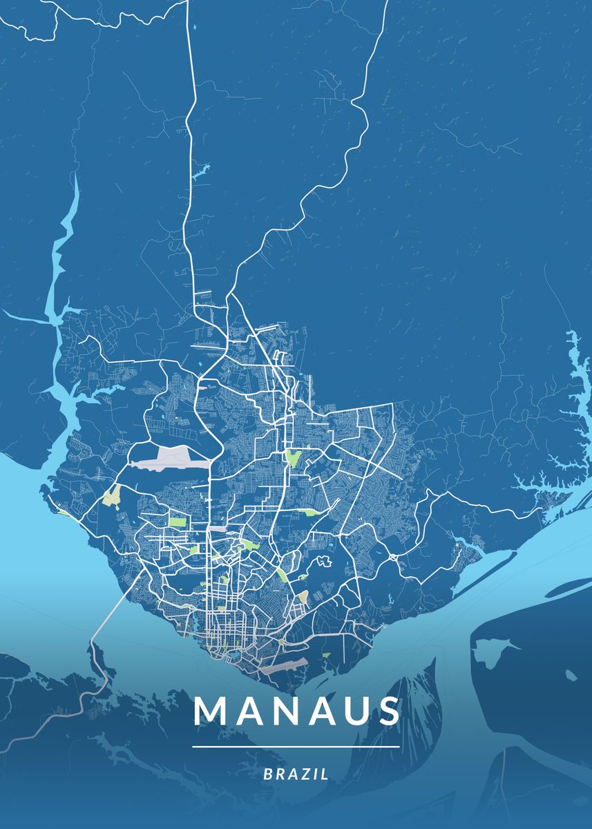 'Manaus Brazil' Poster, picture, metal print, paint by MappaMaps | Displate