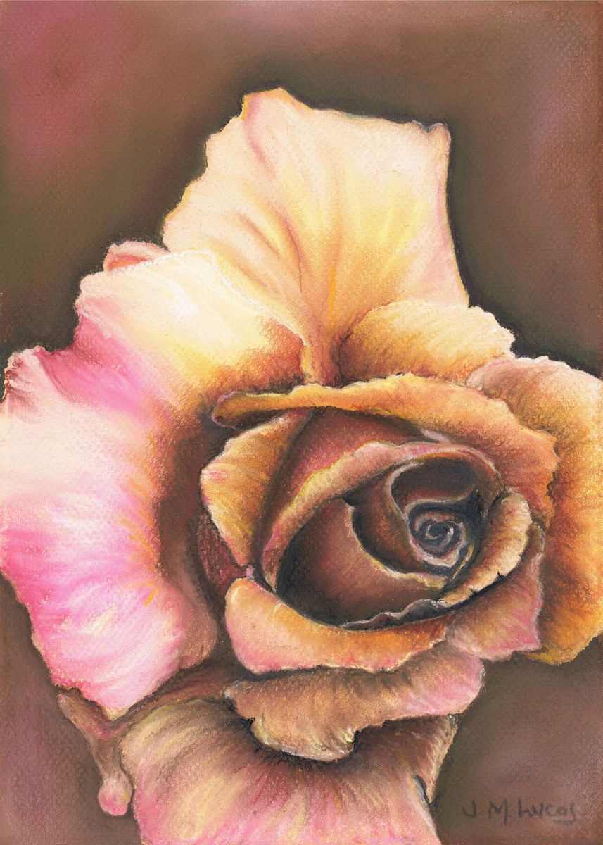 'Earth Tone Rose' Poster by Jane Lucas | Displate