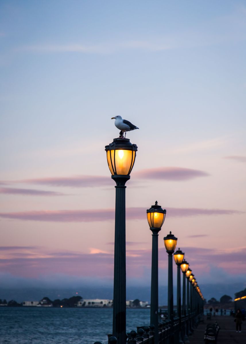 'Night Light' Poster by richard | Displate